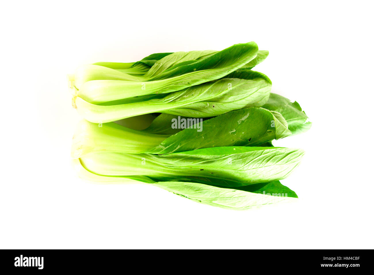Bok choy (chinese cabbage or Qing geng cai) isolated on white Stock ...