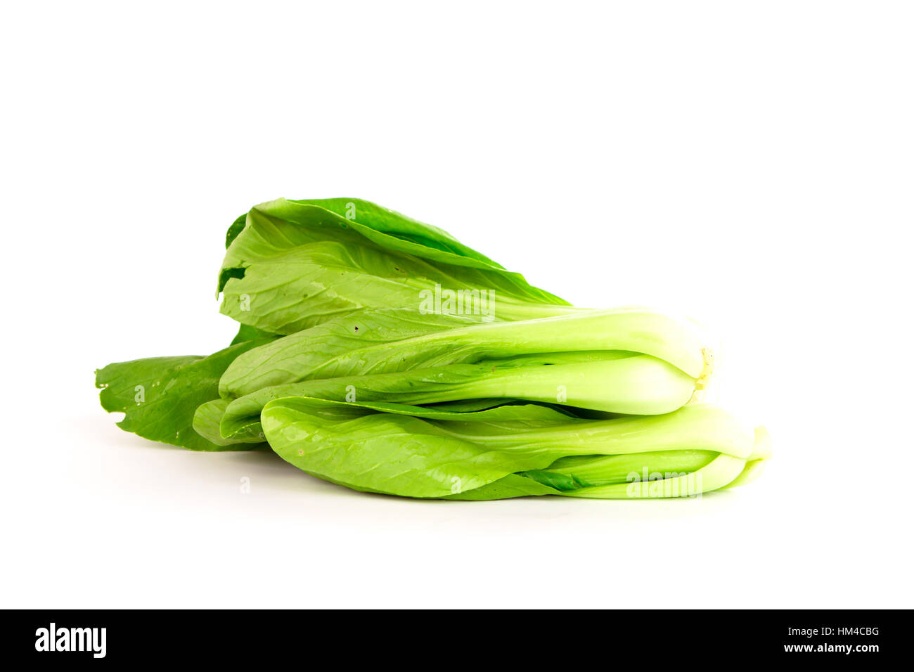 Bok choy (chinese cabbage or Qing geng cai) isolated on white Stock ...