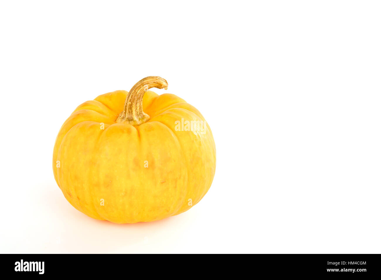 Miniature pumpkins on white background Stock Photo - Alamy