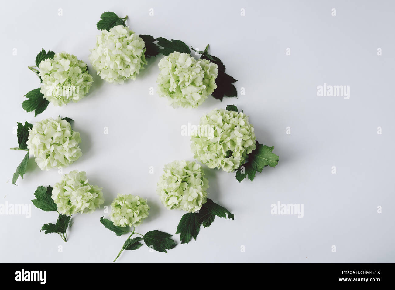 Circle of leaves green hi-res stock photography and images - Alamy