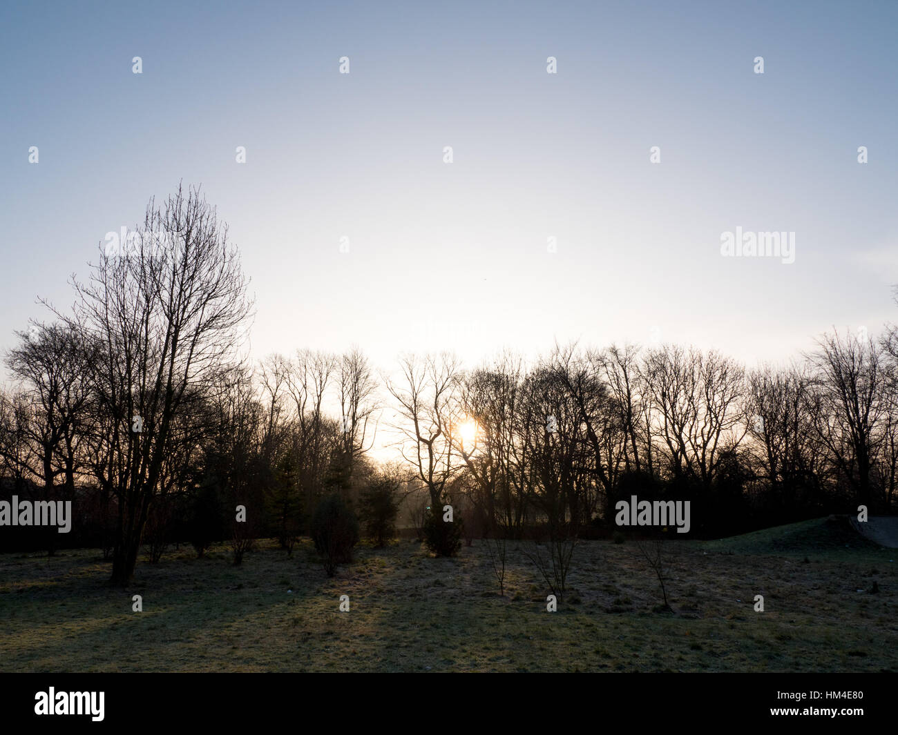Sunrise over trees in a public park in Manchester Stock Photo - Alamy