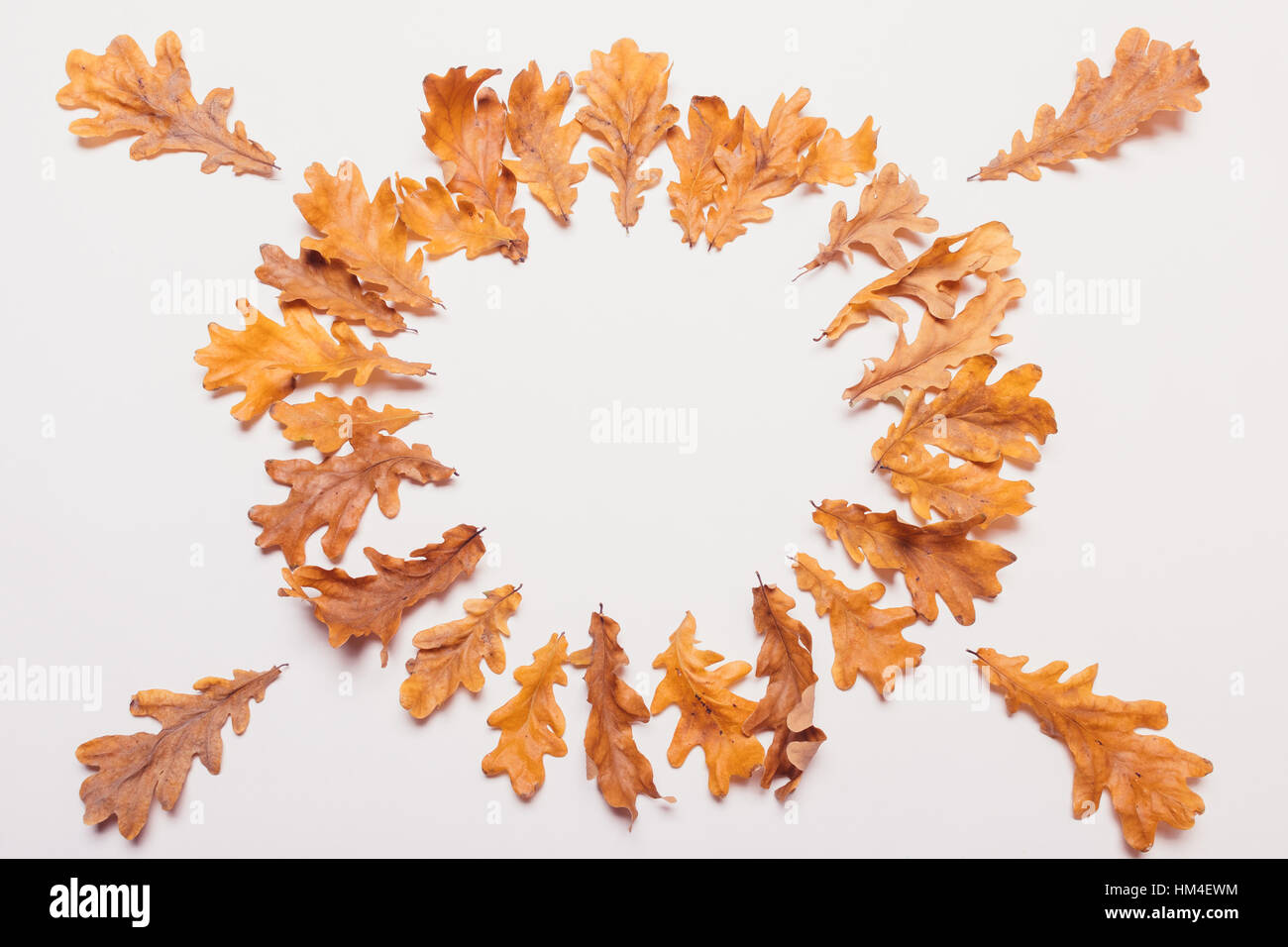 Dry yellow leaves in the shape of a circle lie on a white table, top ...