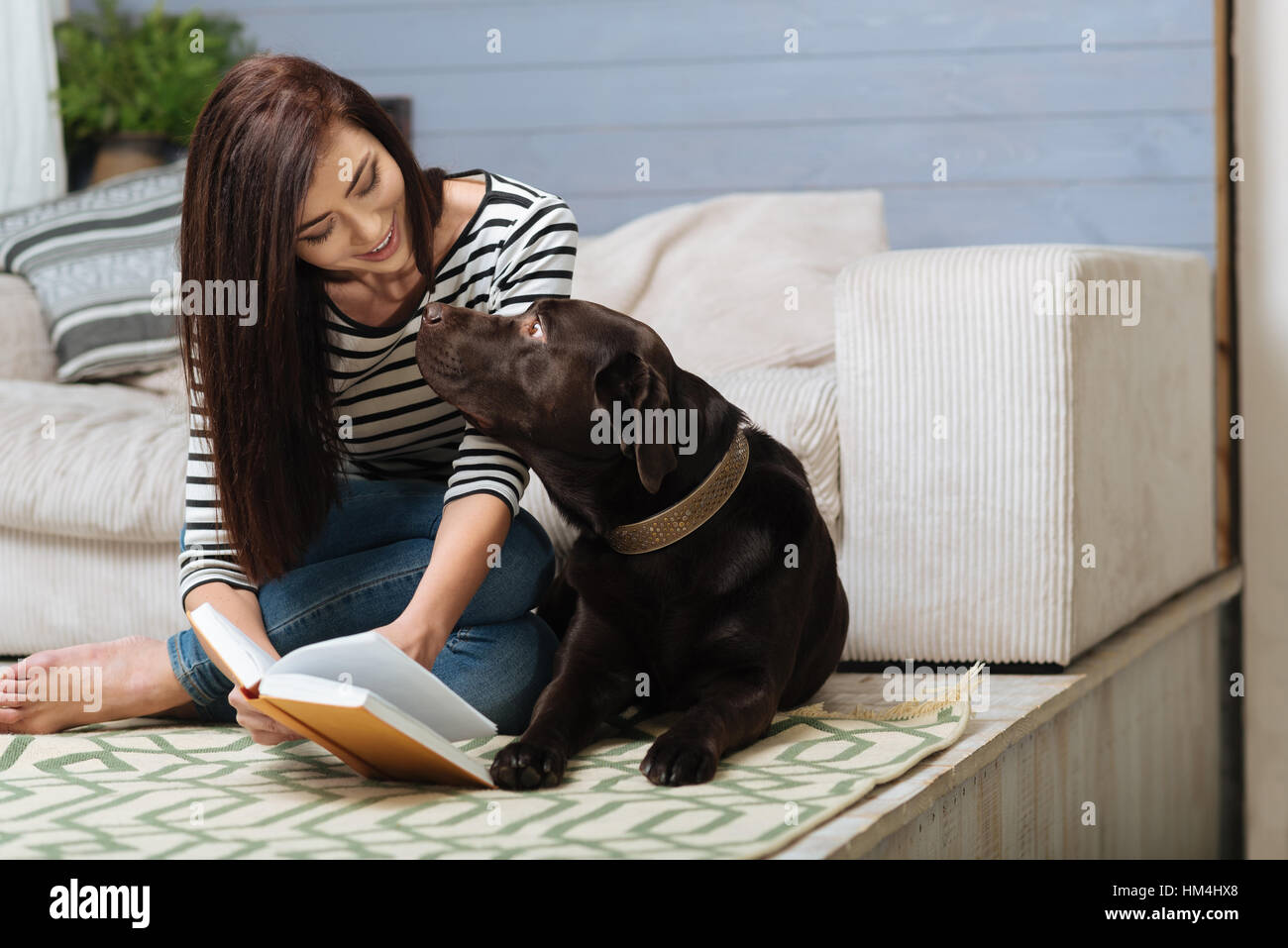 Tender attentive woman showing something to her Labrador Stock Photo ...