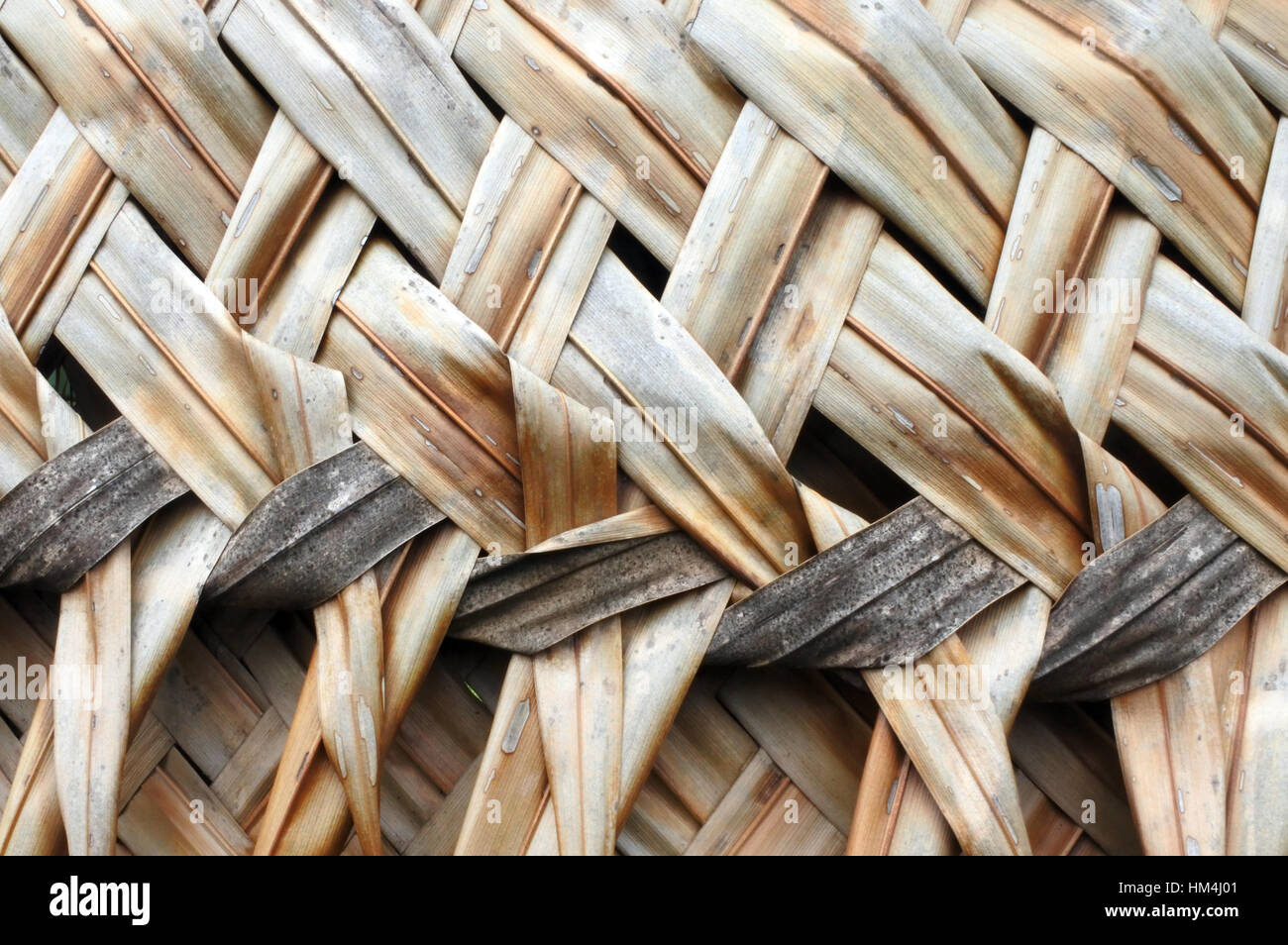 Woven Palm Leaves High Resolution Stock Photography and Images - Alamy