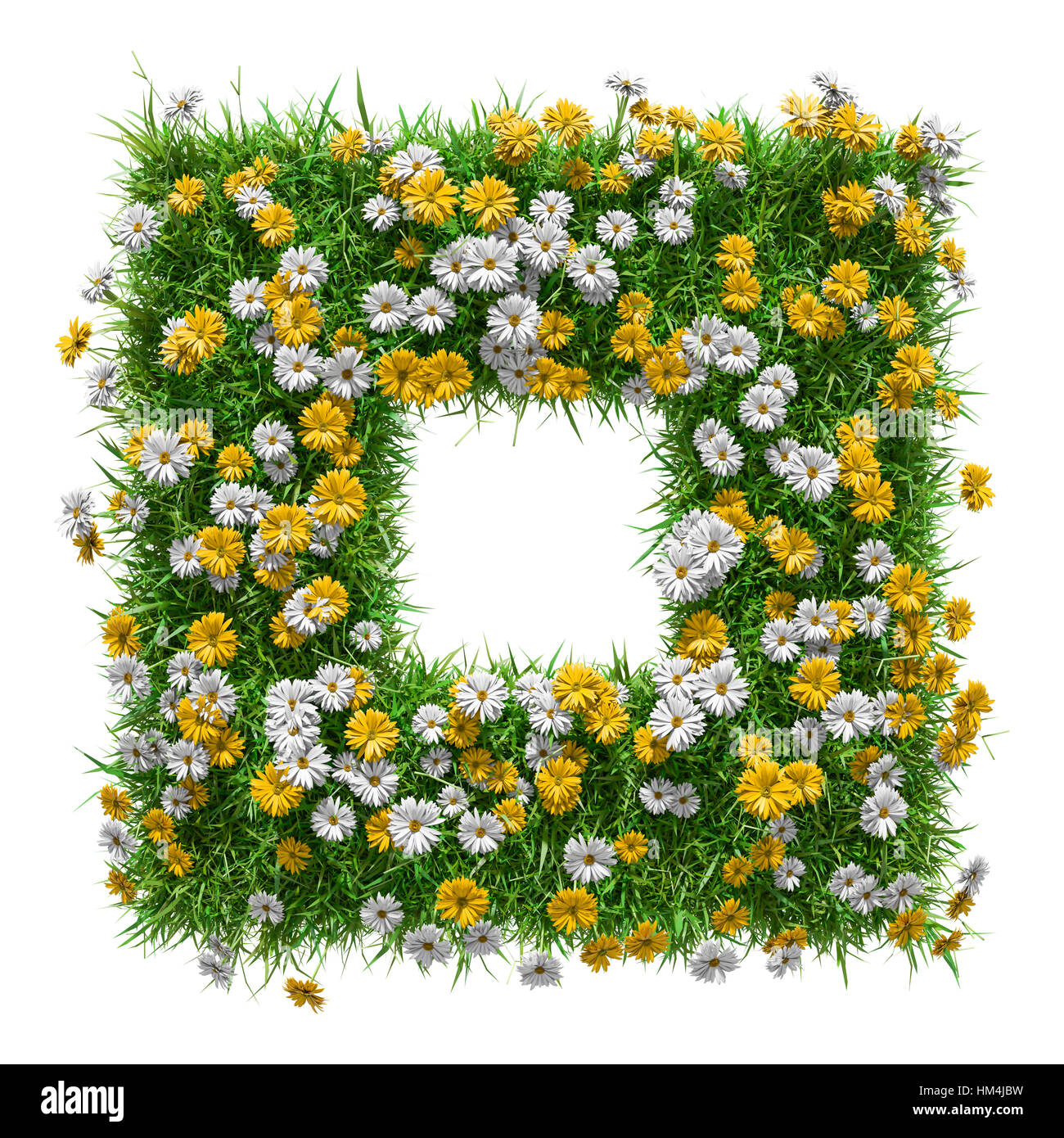 Beautiful field grass flowers Cut Out Stock Images & Pictures - Alamy