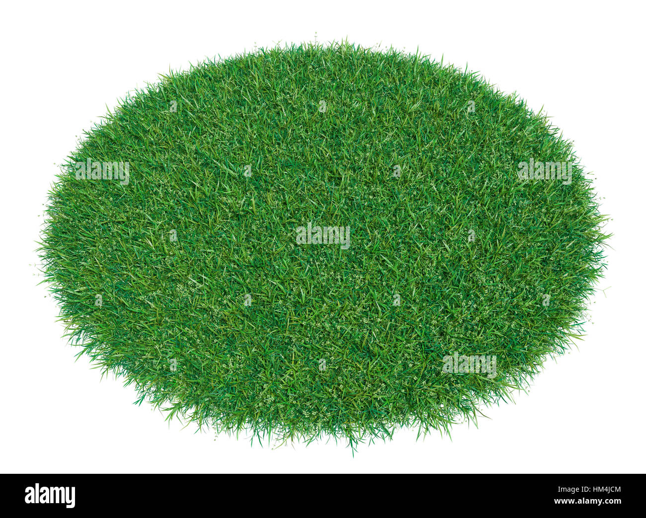 Green grass arena, isolated Stock Photo - Alamy