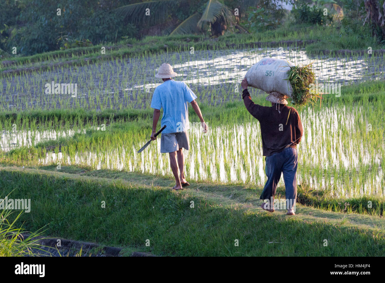 Farmers in indonesia hi-res stock photography and images - Alamy