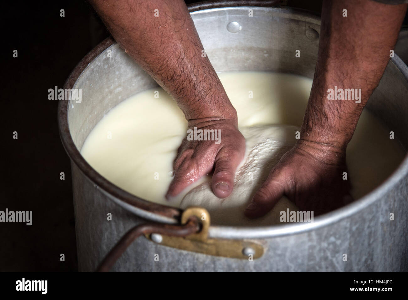 Sheep's cheese making Stock Photo - Alamy