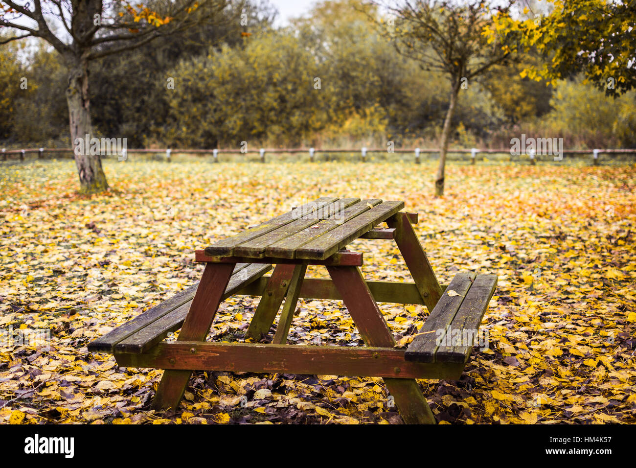 Picnic table in colourful autumn forest Stock Photo - Alamy