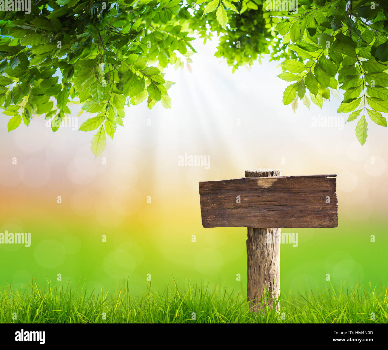 Wood sign with grass and green leaf Stock Photo - Alamy