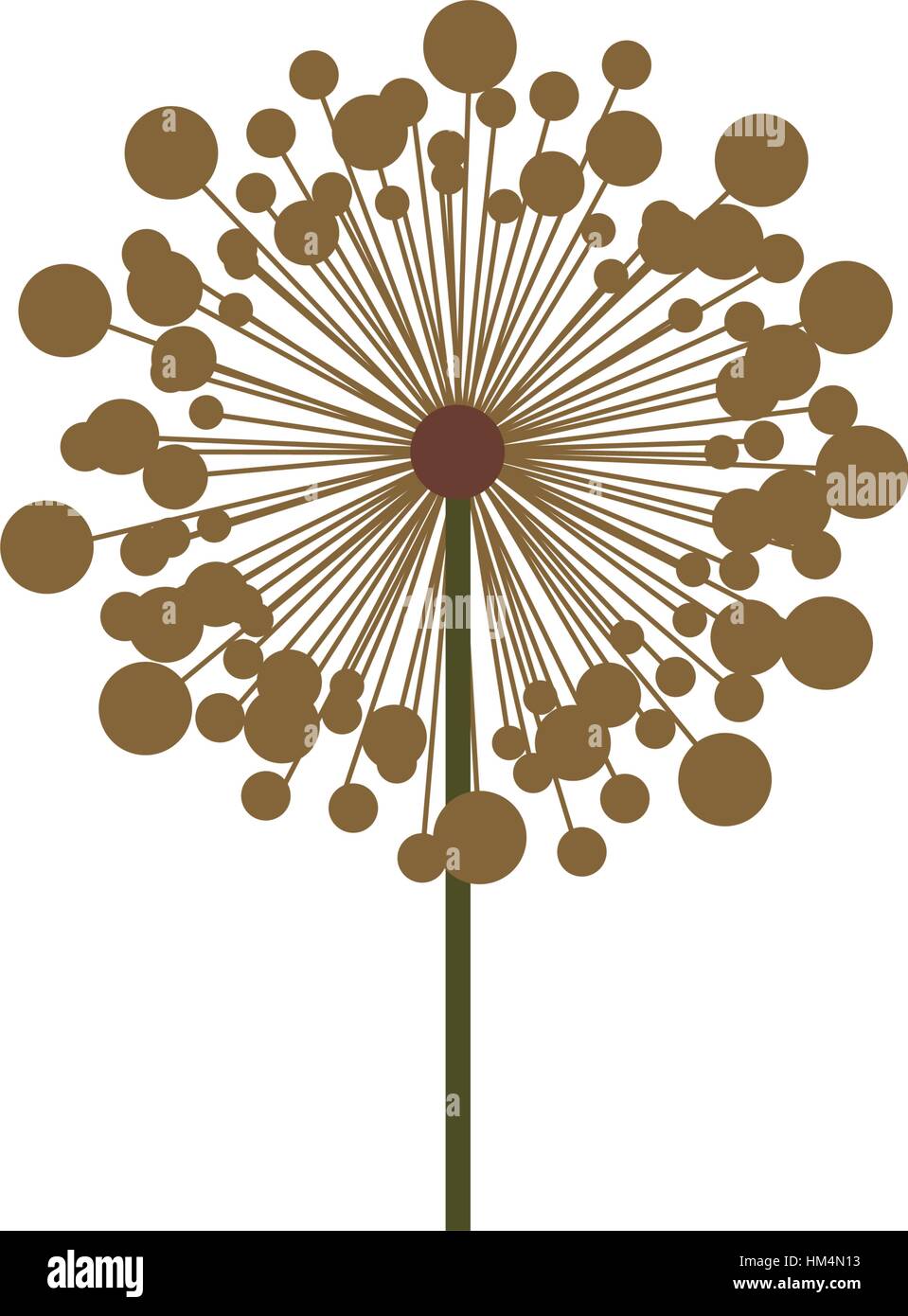 colorful dandelion with stem and pistil vector illustration Stock ...