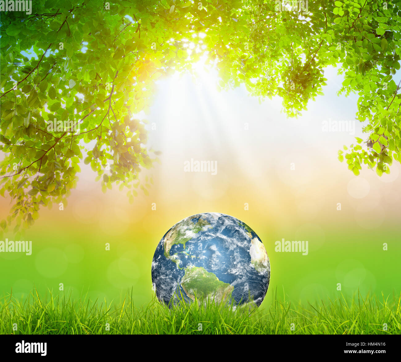 Earth on Fresh spring green grass with green leaf (Elements of this ...