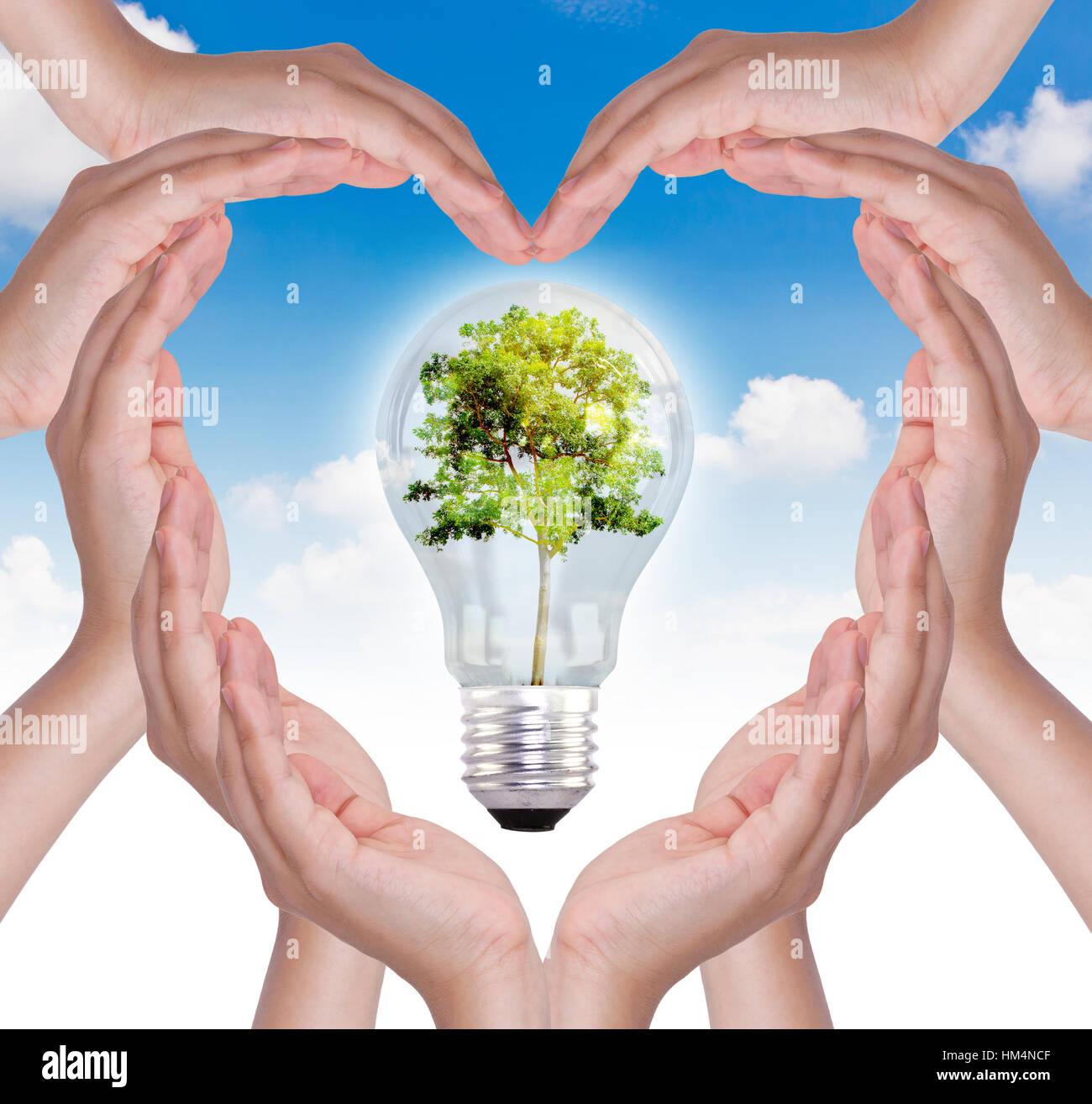 Hands make heart shape and light bulb with tree inside over blue sky ...