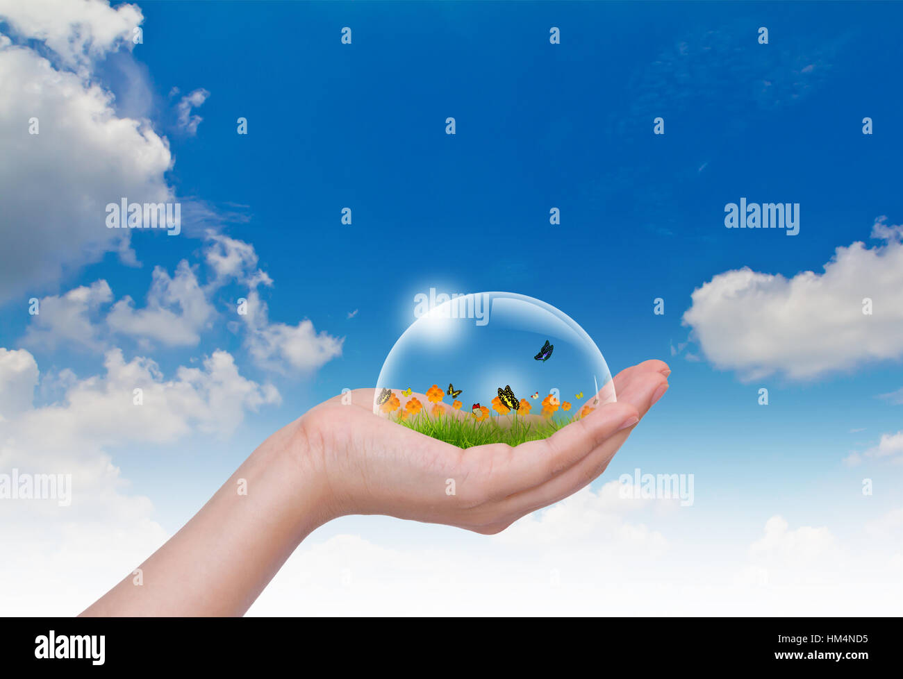 Hand hold Bubbles with flower on grass and butterfly in the sky Stock ...