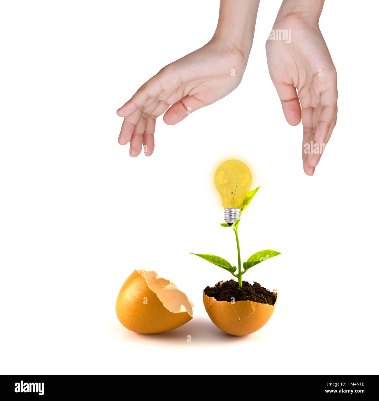 Hand hold growing green plant in egg shell and light bulb Stock Photo ...