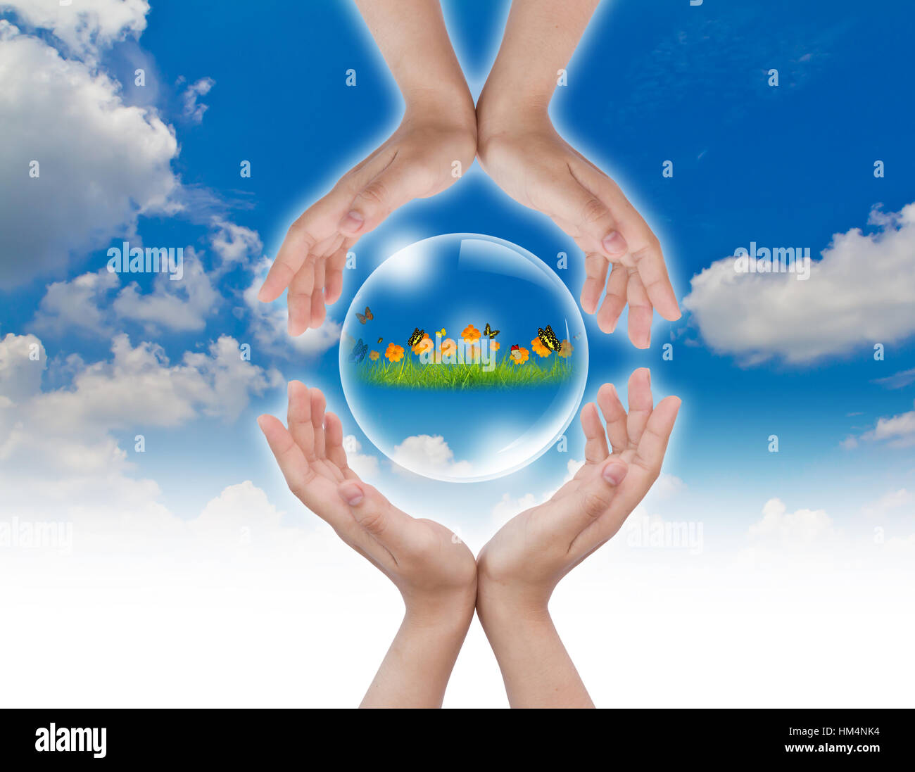 Hand hold Bubbles with flower on grass and butterfly in the sky Stock ...