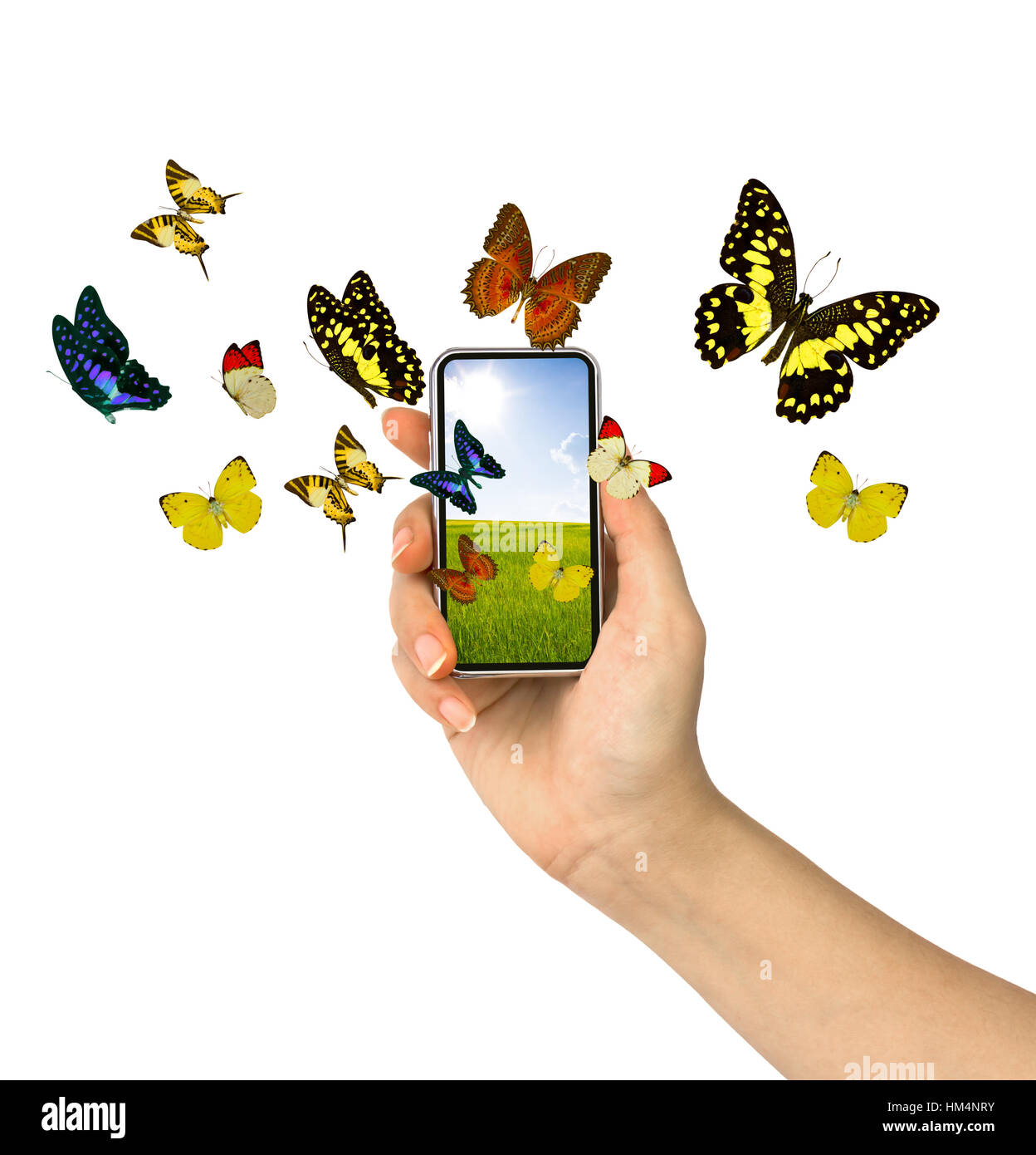 Butterfly keyboard hi-res stock photography and images - Alamy