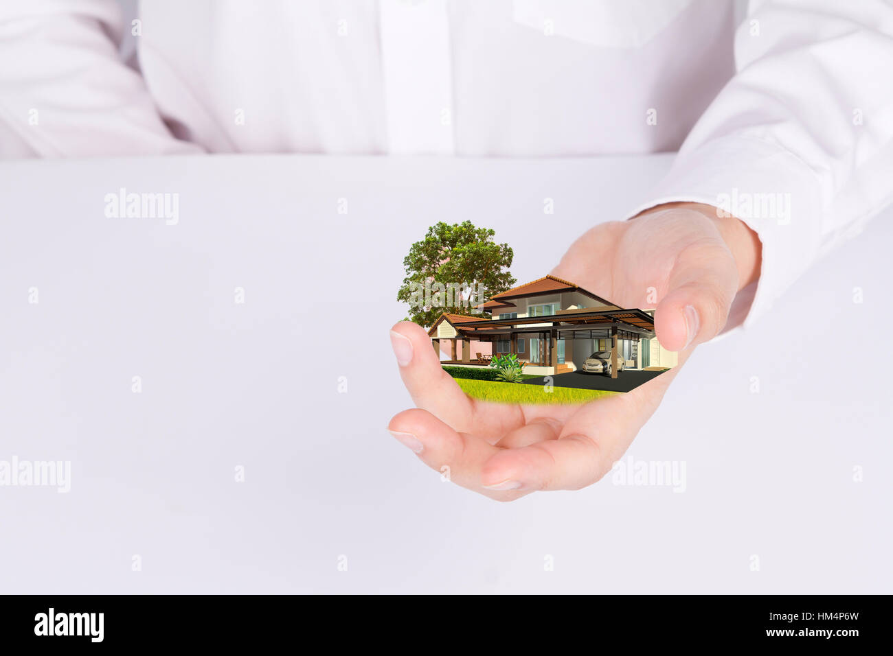 The house with tree in hand Stock Photo - Alamy