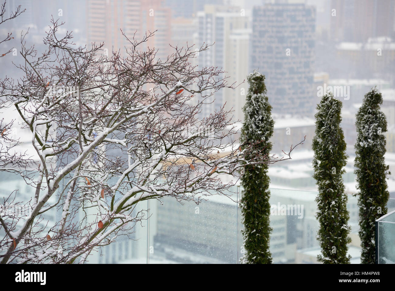 Aerial of roof garden hi-res stock photography and images - Alamy