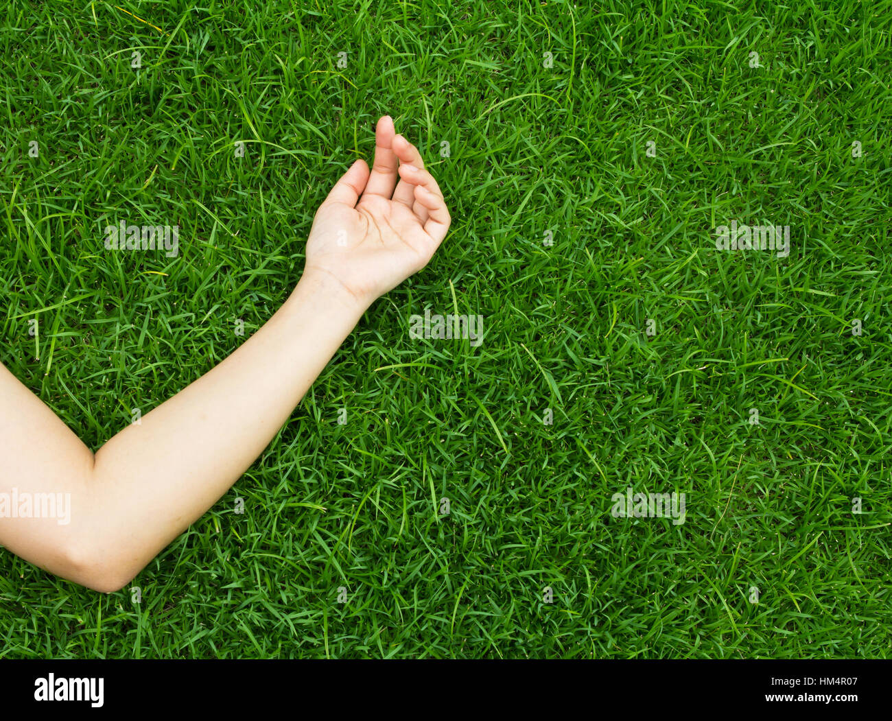 Hand on green lush grass Stock Photo - Alamy