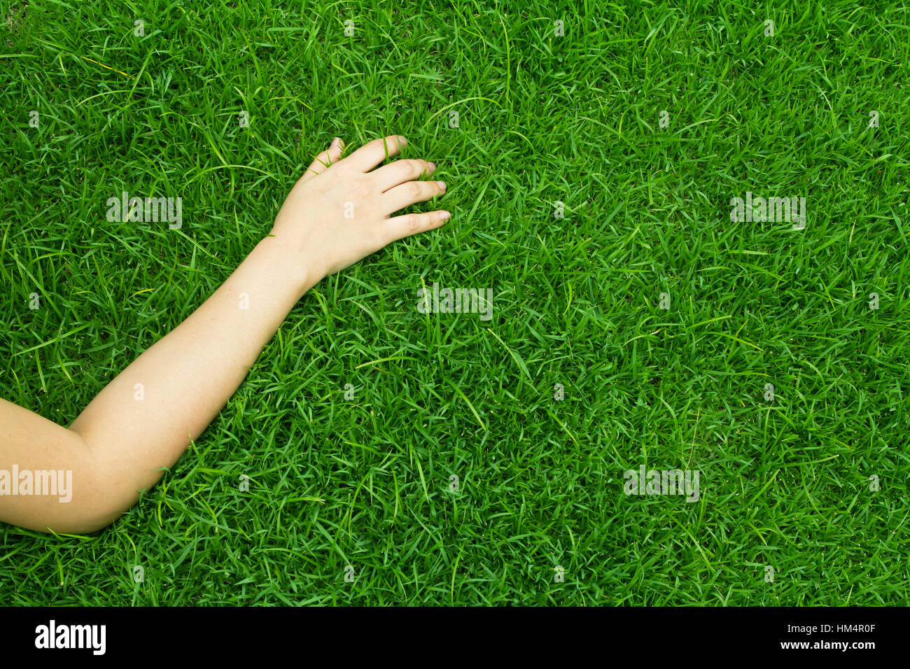 Hand on green lush grass Stock Photo - Alamy