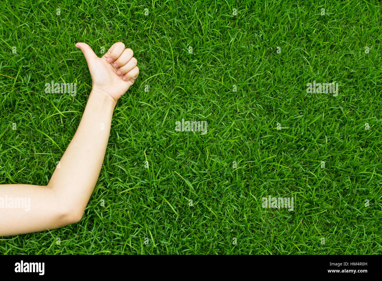 Hand on green lush grass Stock Photo - Alamy