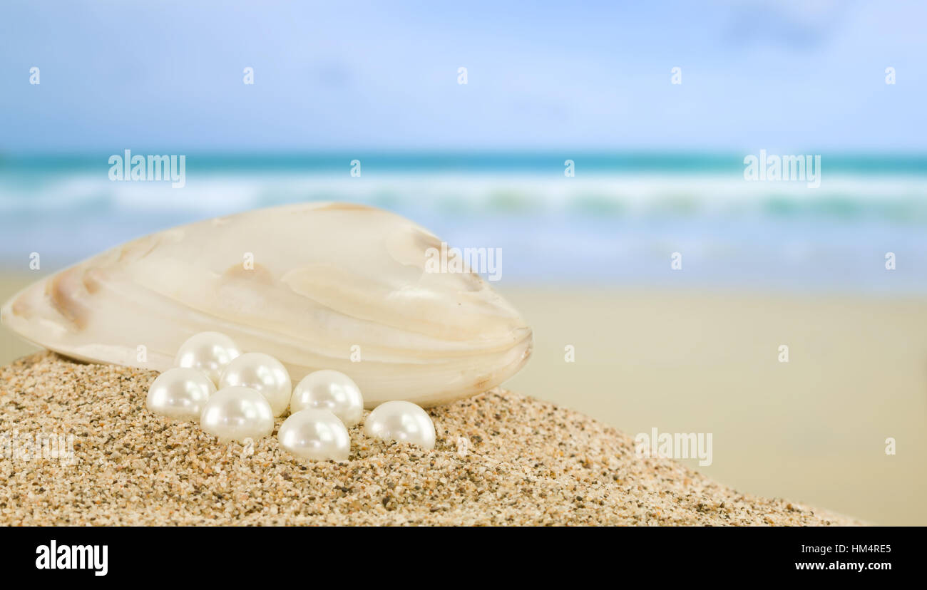 Sea shell with great white pearl Stock Photo - Alamy