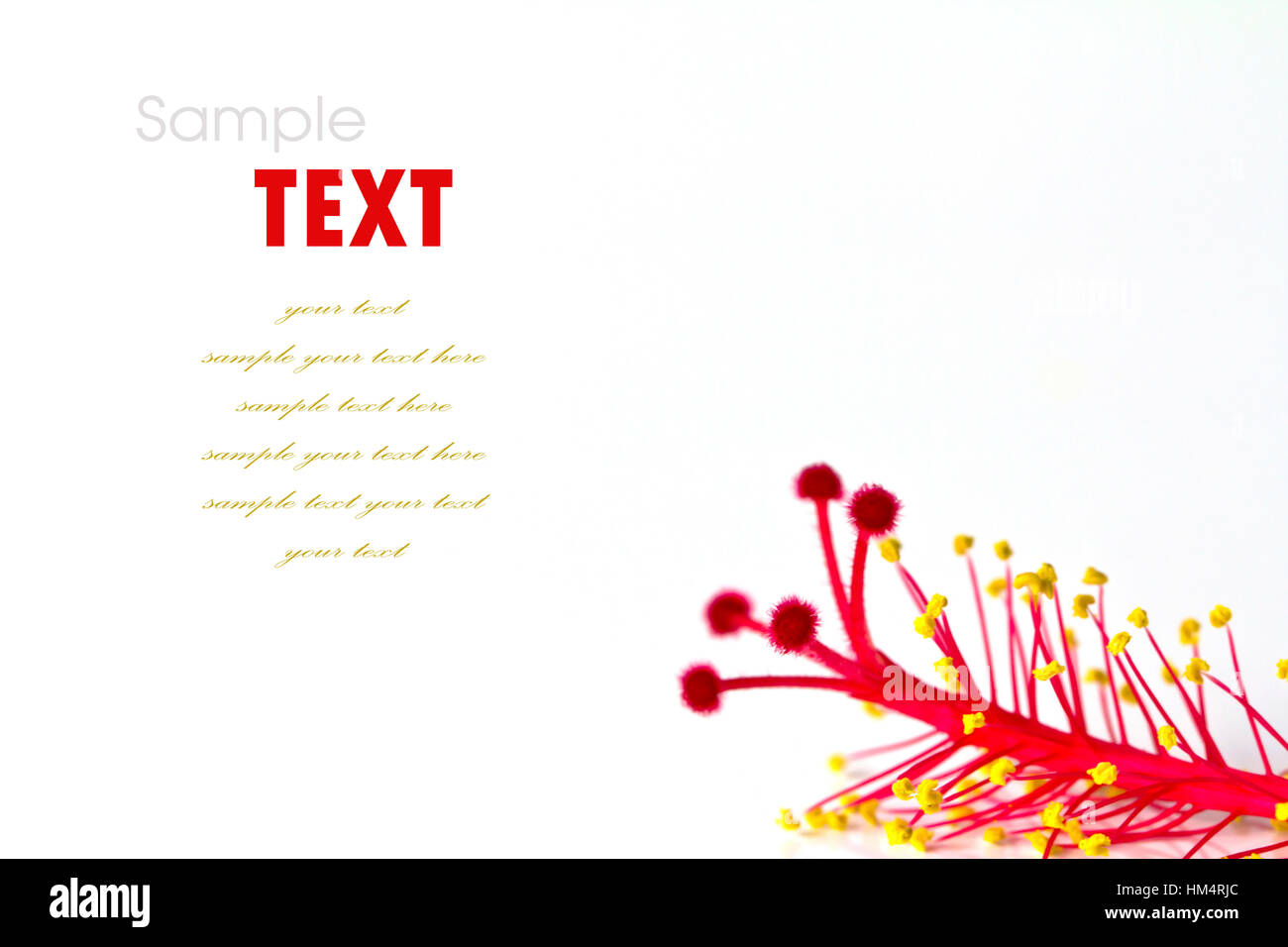 Beautiful red Pollen of flower isolated on white background Stock Photo ...