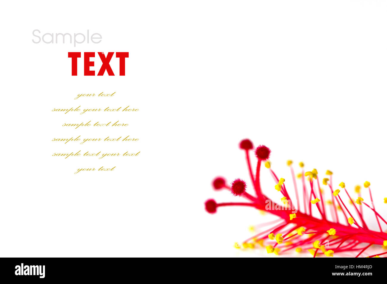 Beautiful red Pollen of flower isolated on white background Stock Photo ...