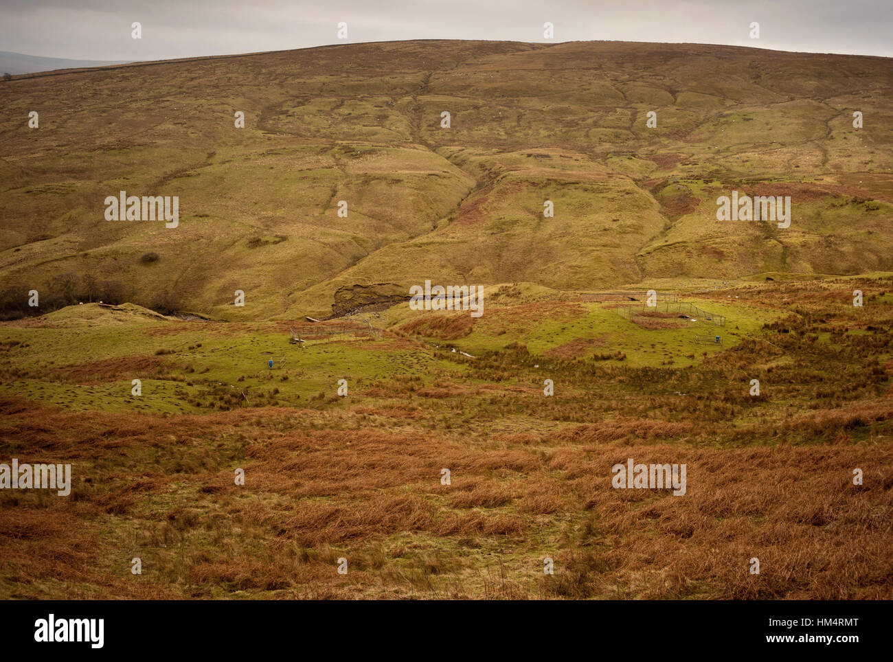 Alston moor hi-res stock photography and images - Alamy