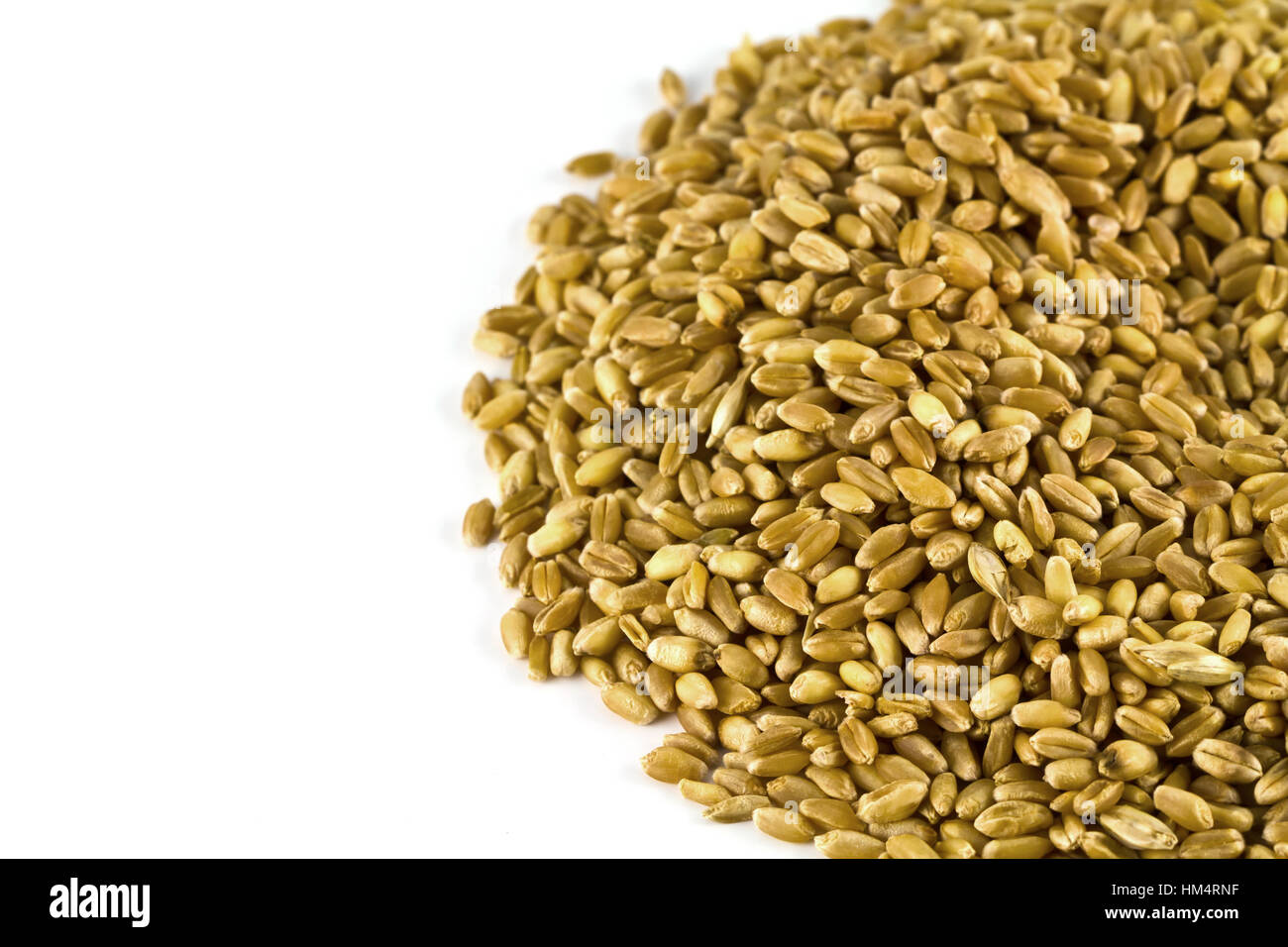 wheat isolated on white Stock Photo - Alamy