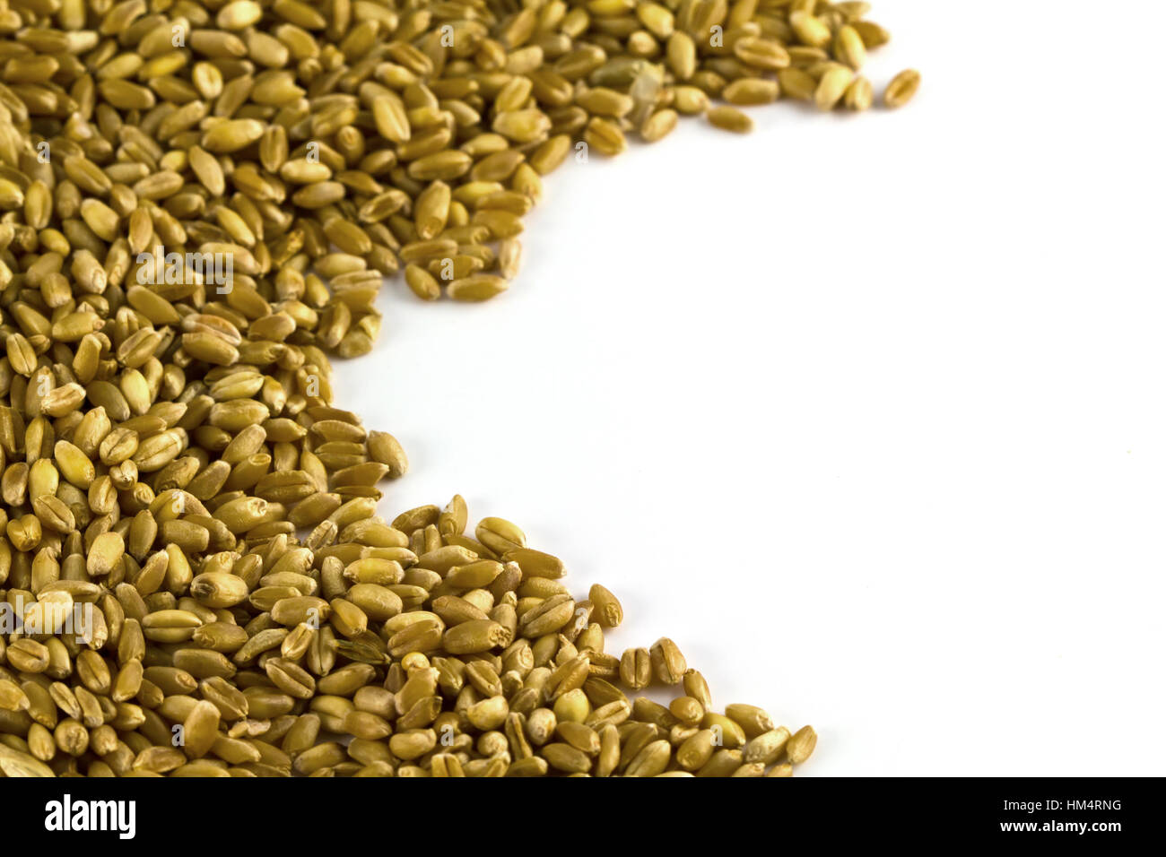 wheat isolated on white Stock Photo - Alamy