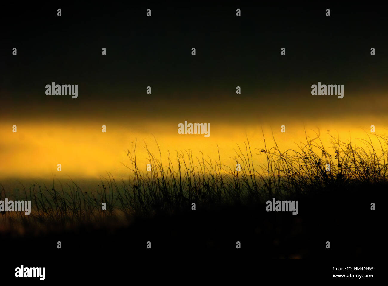 Yellow sunrise hi-res stock photography and images - Alamy