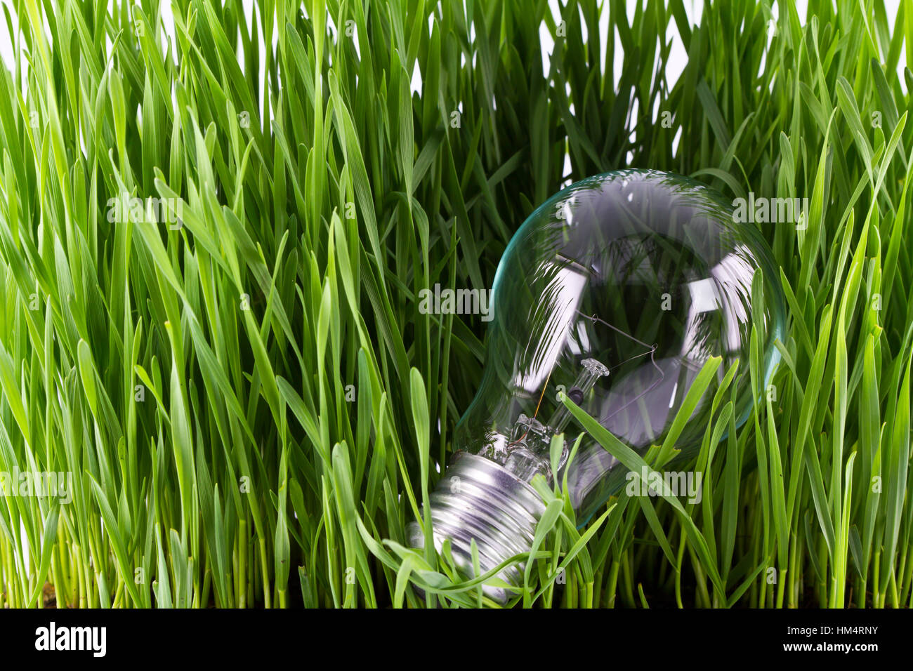 Light Bulb in a Bed of Grass Stock Photo - Alamy