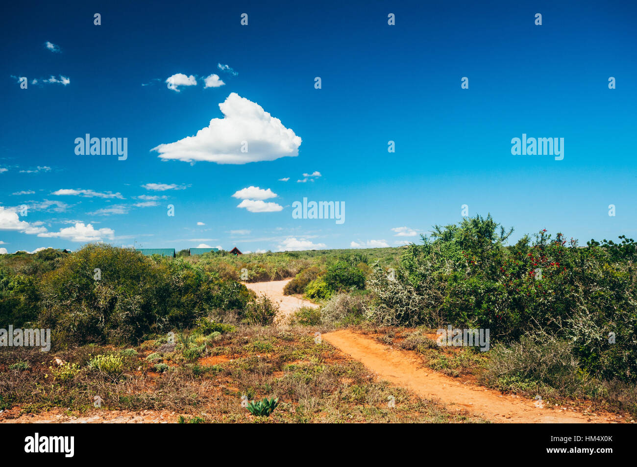 Beautiful wild landscape photographed in eastern cape, South Africa ...