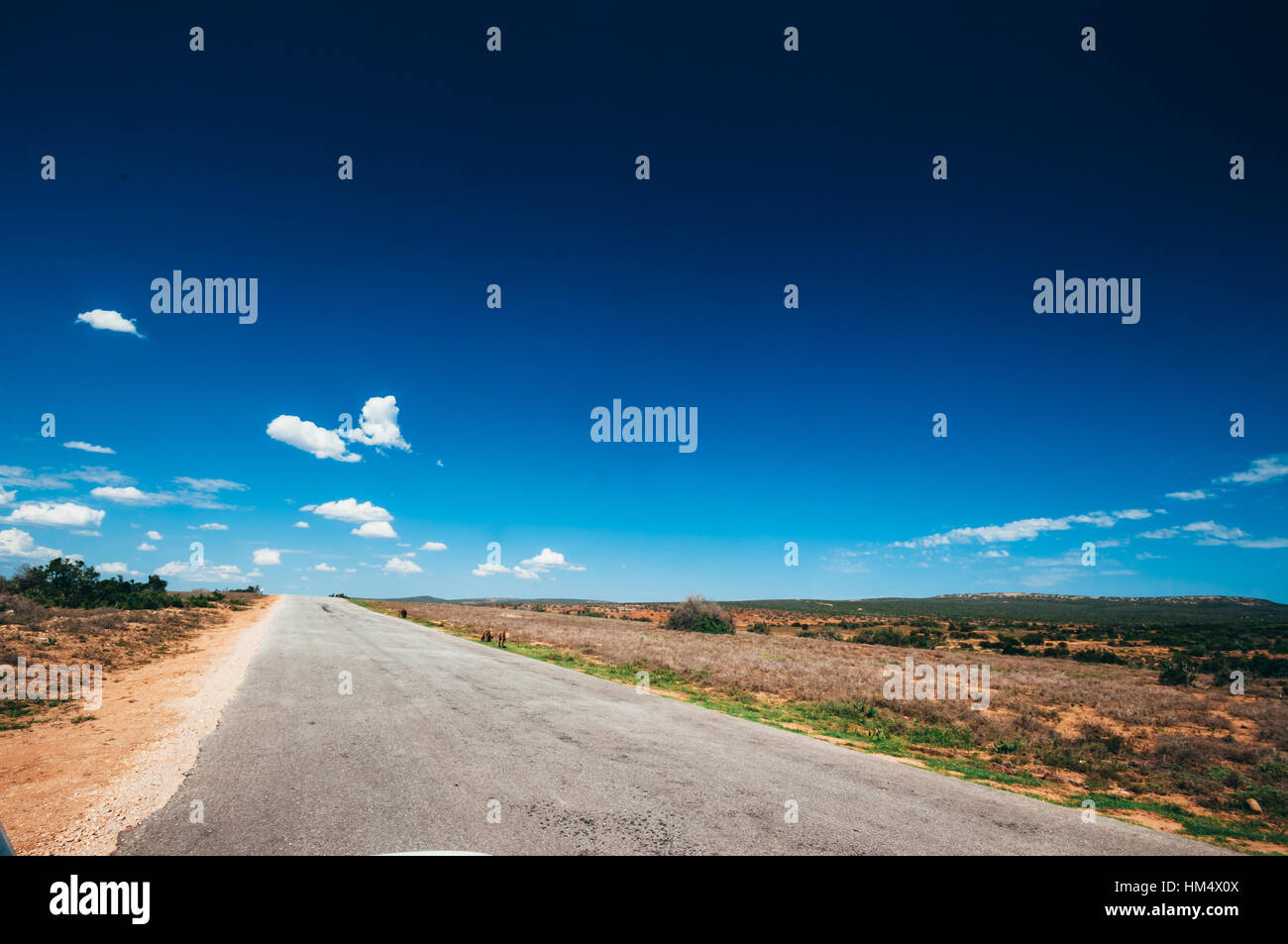 Beautiful wild landscape photographed in eastern cape, South Africa ...