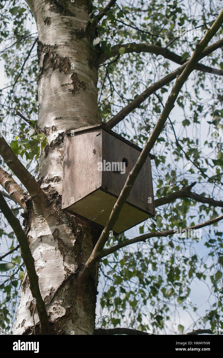 Wooden bird house in tree Stock Photo - Alamy