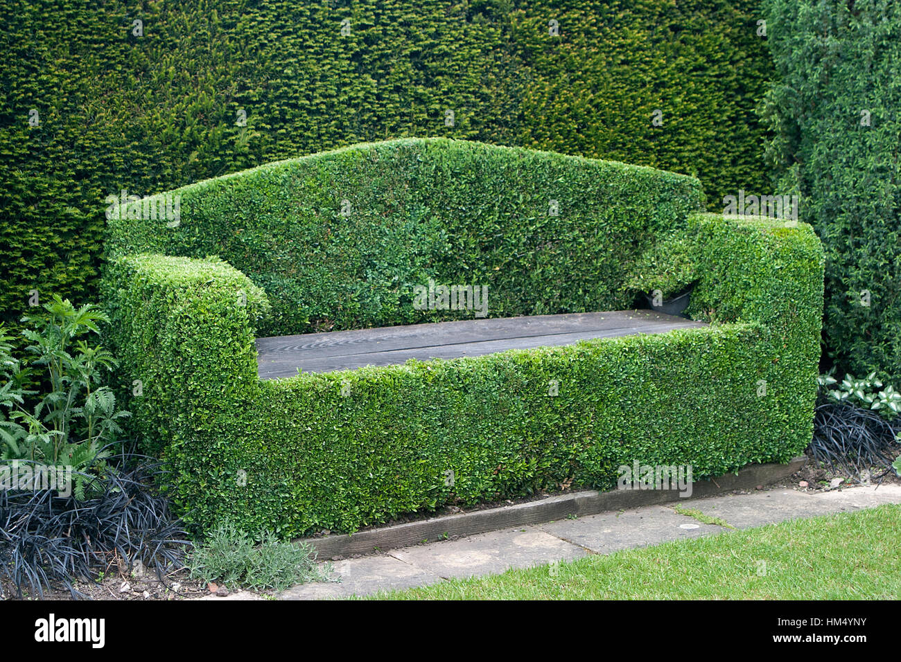 Box (buxus) topiary garden bench Stock Photo - Alamy
