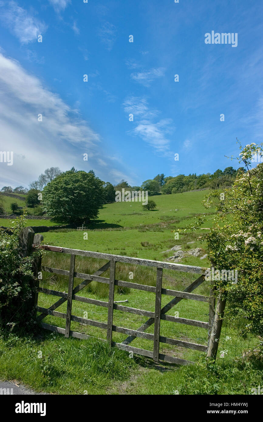 Five bar gate into a field hi-res stock photography and images - Alamy