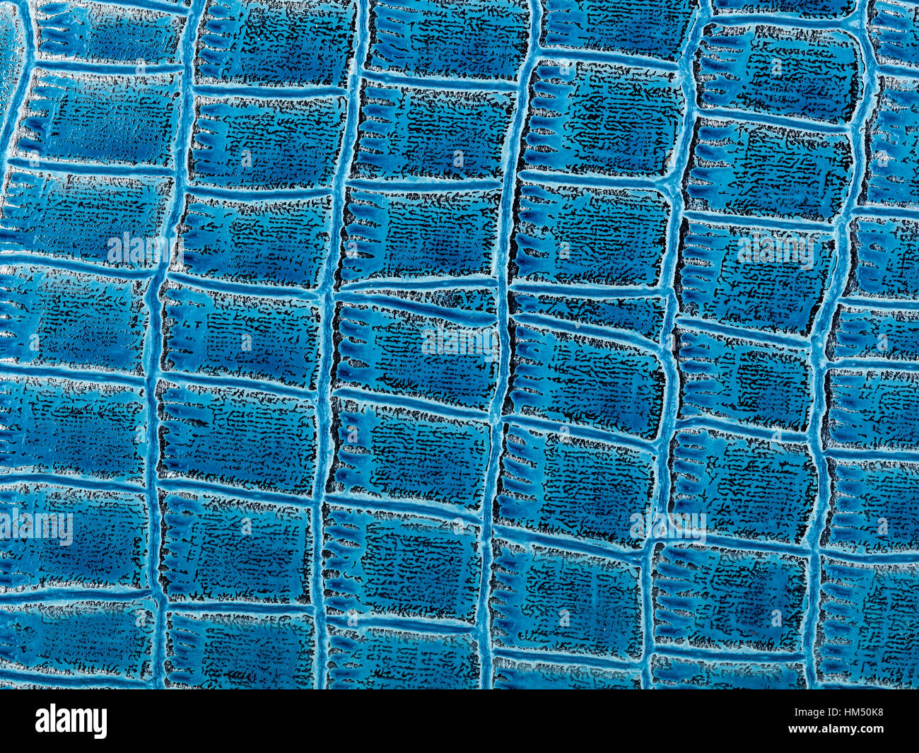 Abstract texture of synthetic leather, Blue crocodile background Stock ...