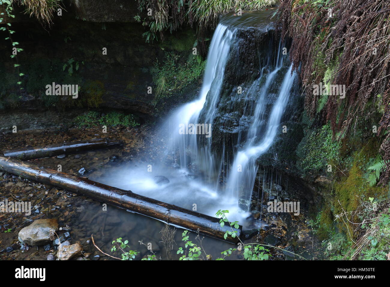 Small waterfall Maspie Den Falkland Fife Scotland January 2017 Stock ...
