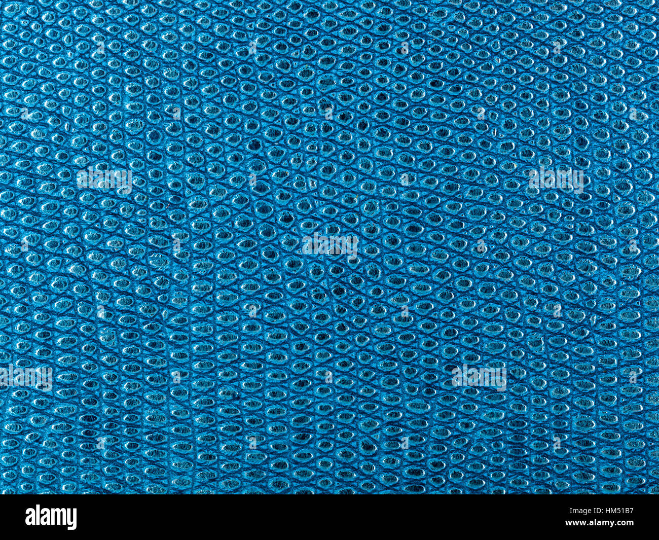 Blue snake hi-res stock photography and images - Alamy