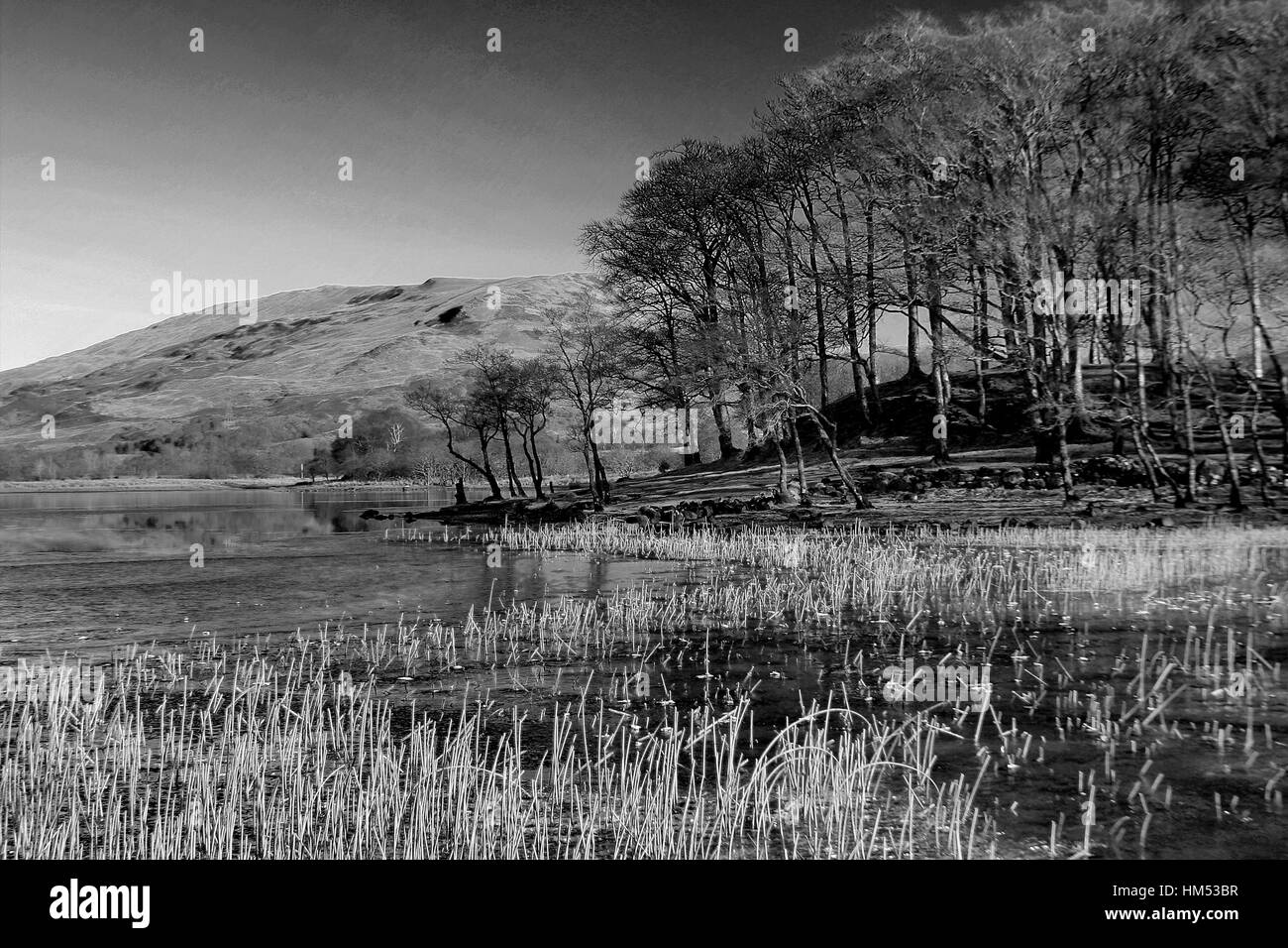 Scott county Black and White Stock Photos & Images - Alamy