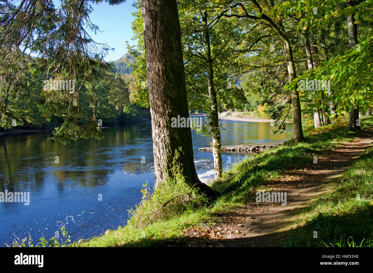 River tay perthshire trees hi-res stock photography and images - Alamy
