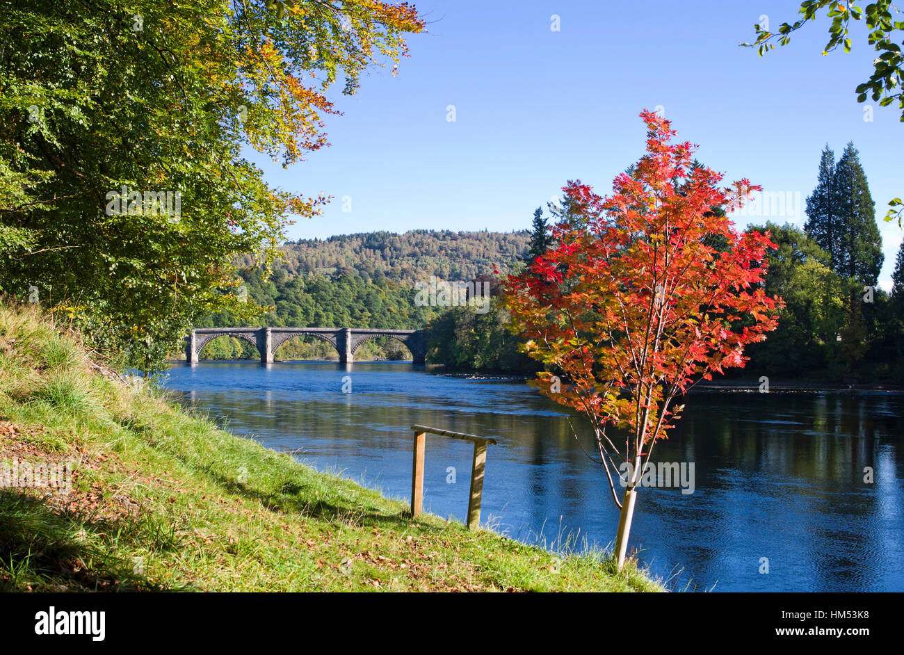 River tay scotland bridge trees hi-res stock photography and images - Alamy