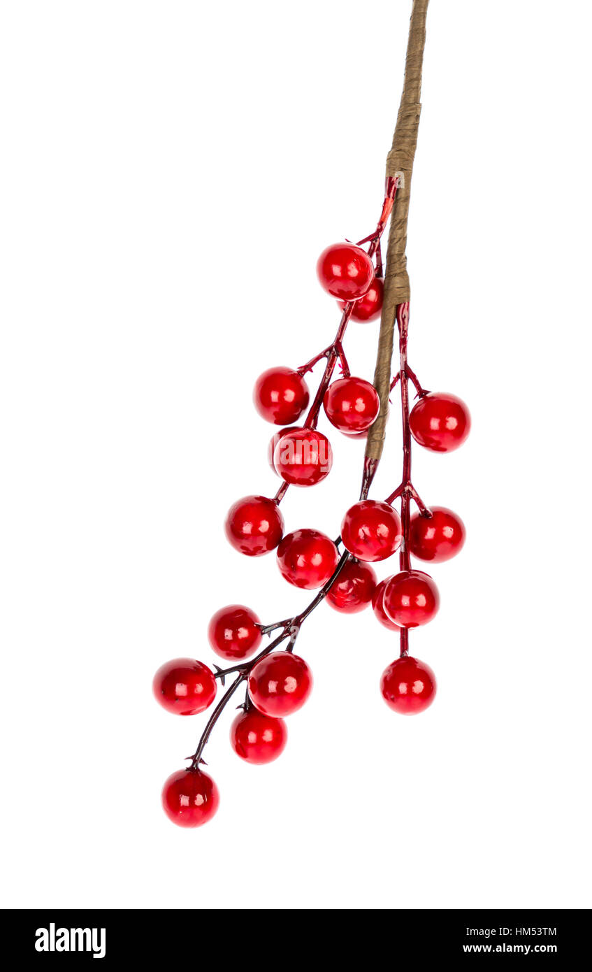 Christmas decoration red berries holly isolated on white background ...