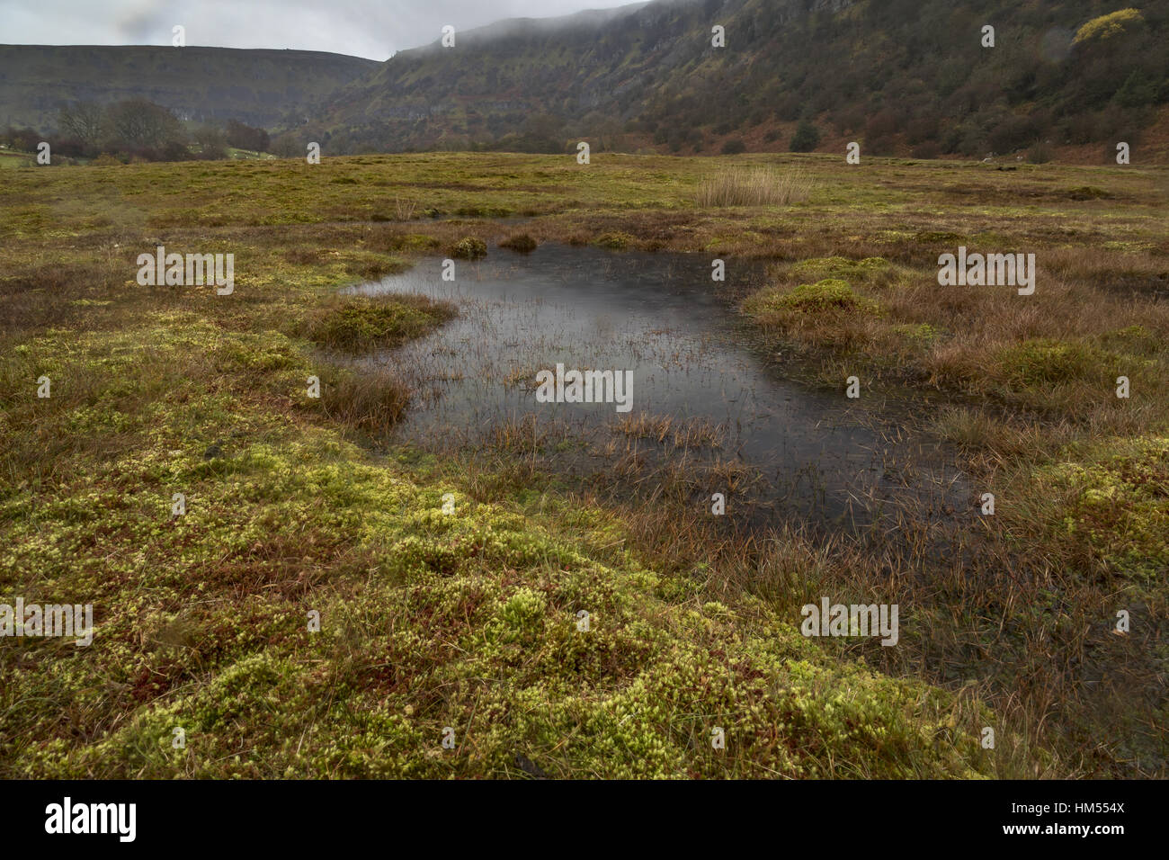 Raised bog in autumn hi-res stock photography and images - Alamy