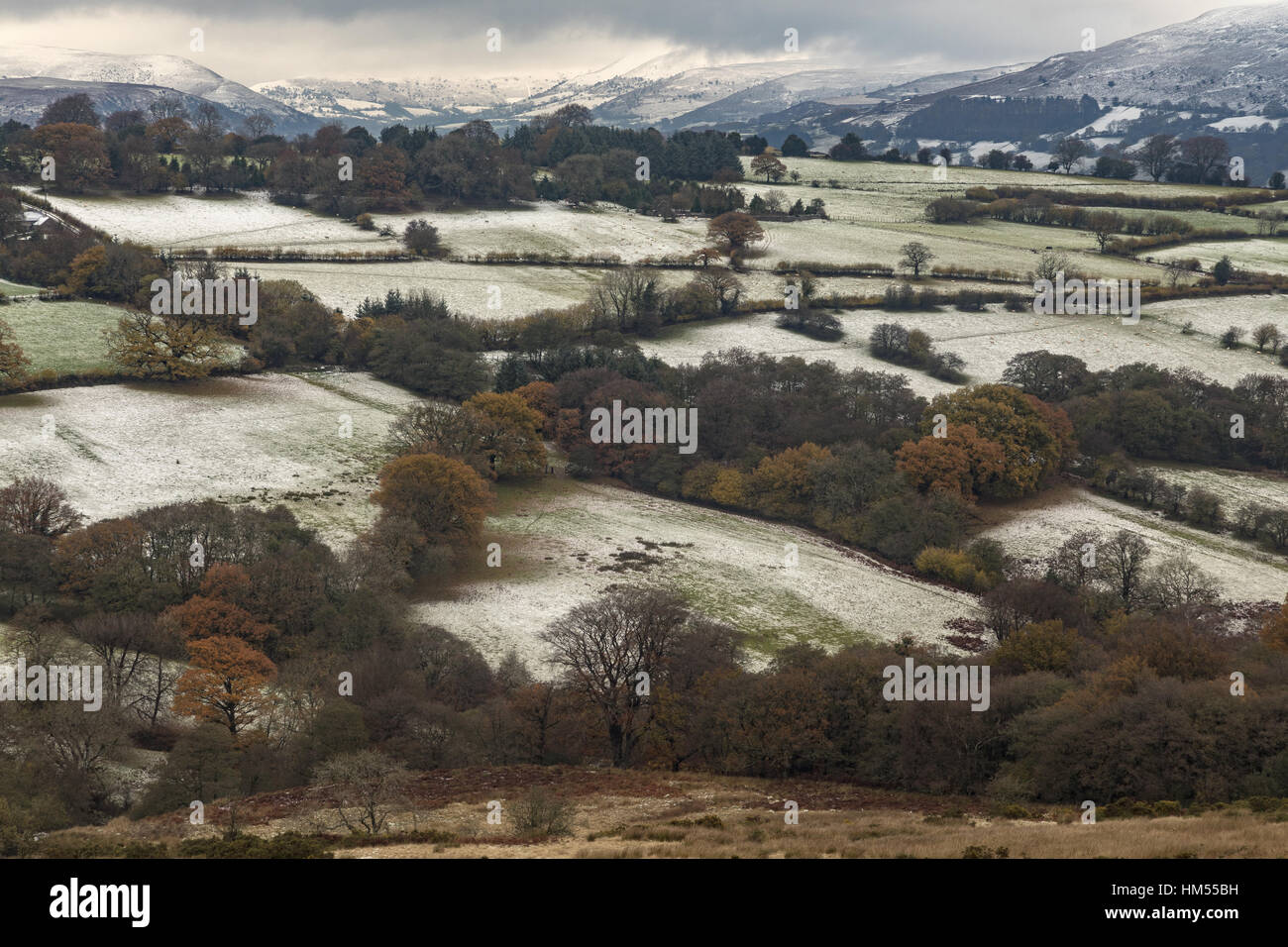 Old-fashioned farming, small fields and hedges after light snow, at Cwm ...