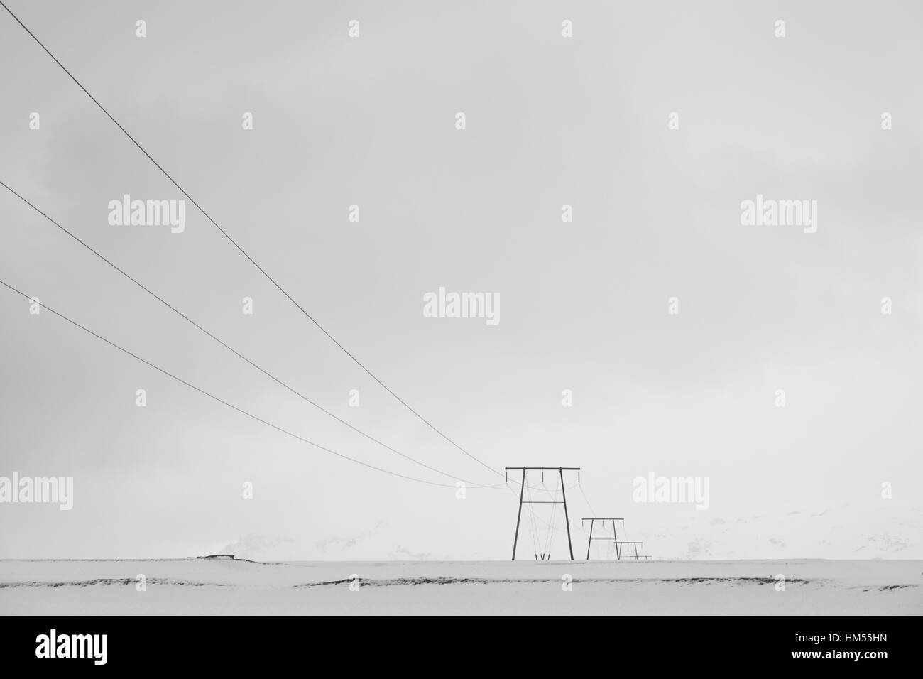 Covered with lines Black and White Stock Photos & Images - Alamy