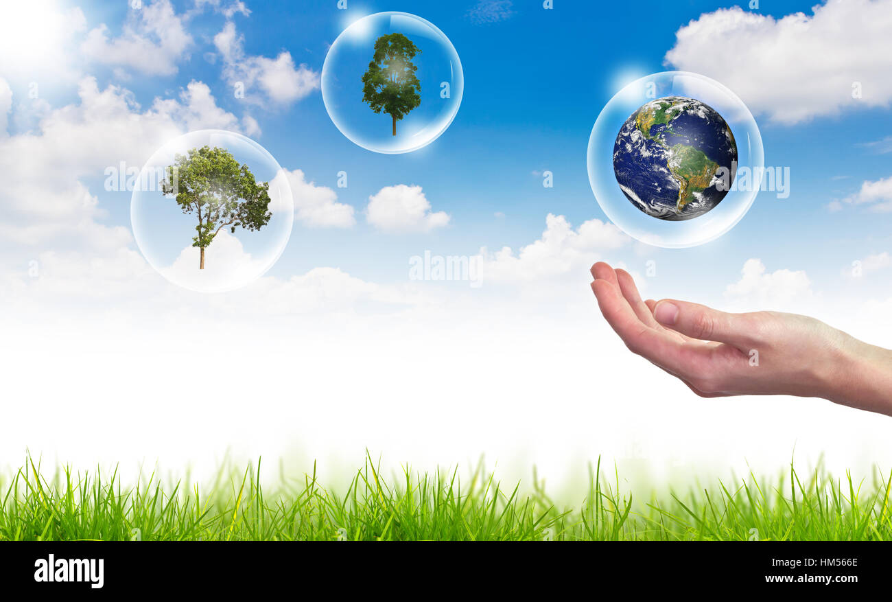 Eco concept : globe , tree in bubbles against the sun and the blue sky ...